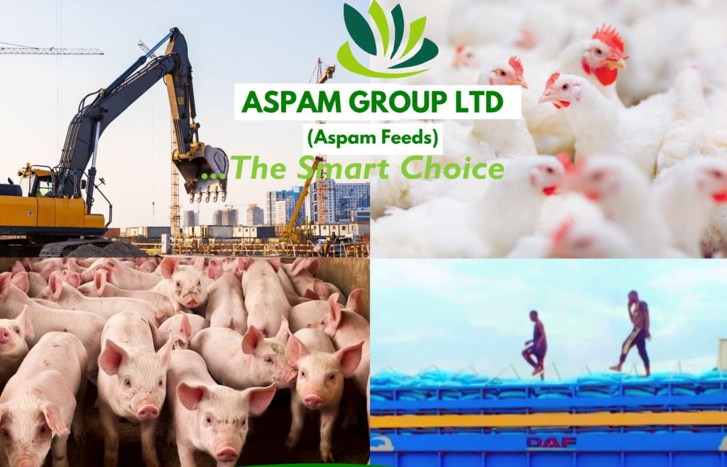 Aspam Group – The Smart Choice